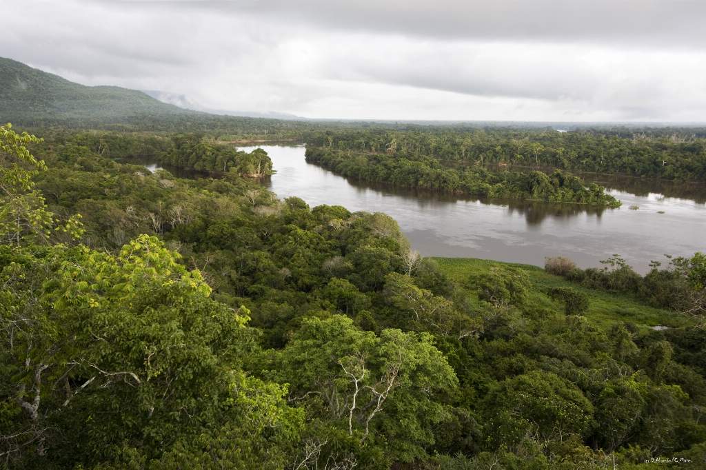 Región Trópico, un destino de naturaleza y aventura - Periodismo de ...