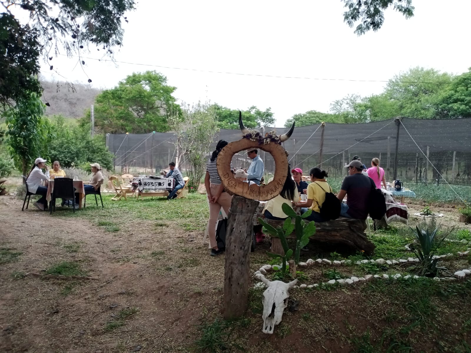 Ocho razones para viajar a Cuevo - Periodismo de medio ambiente y ...