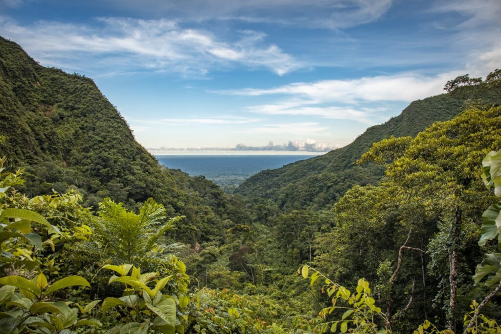 Descubre la biodiversidad del Madidi en Sadiri Lodge - Periodismo de ...
